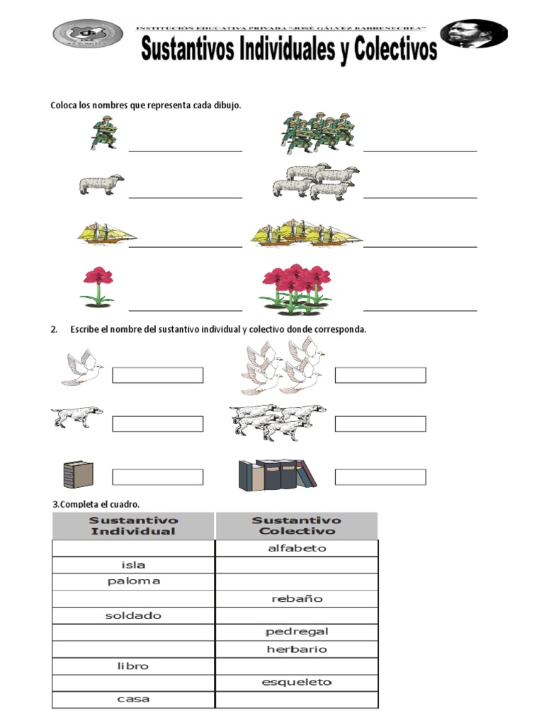 Sustantivo Colectivo e Individual | PDF