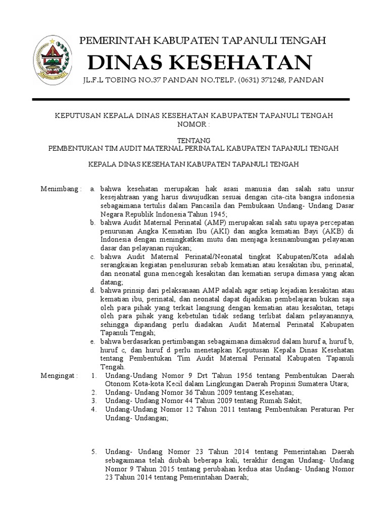 SK Amp | PDF