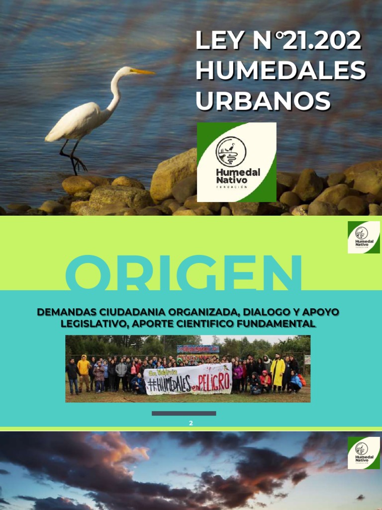 Ley 21202 Humedales Urbanos | PDF | Entorno natural | Naturaleza