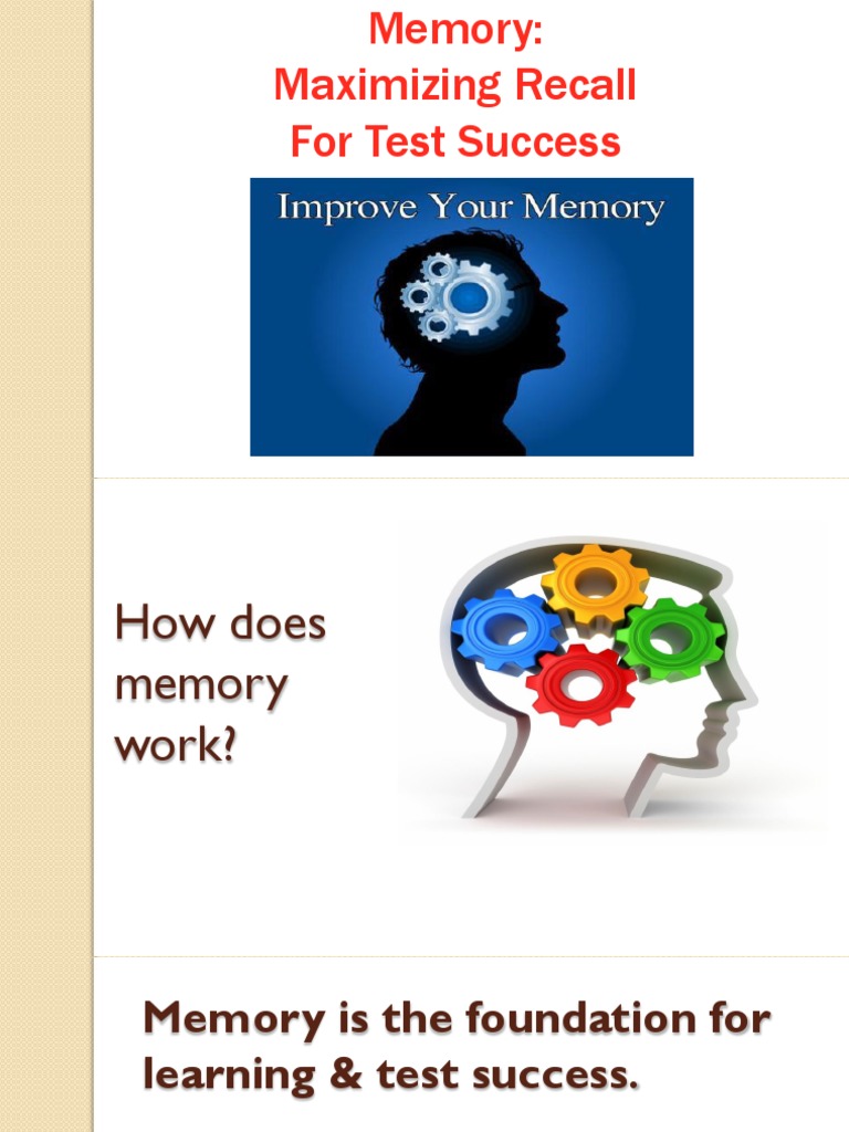 Chapter 6 | PDF | Memory Processes | Memory