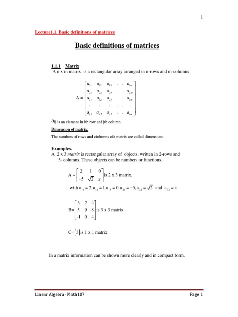 Lecture1.1. Basic Definitions of Matrices | PDF | Matrix (Mathematics) | System Of Linear Equations