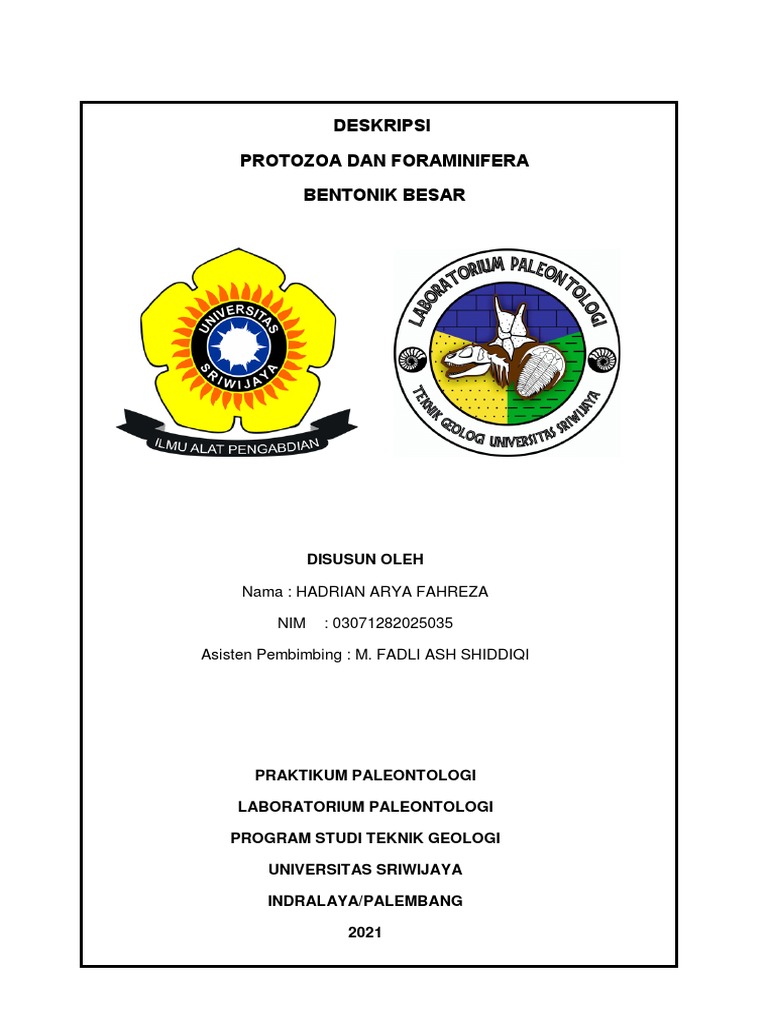 Deskripsi Foraminifera Bentonik Besar | PDF