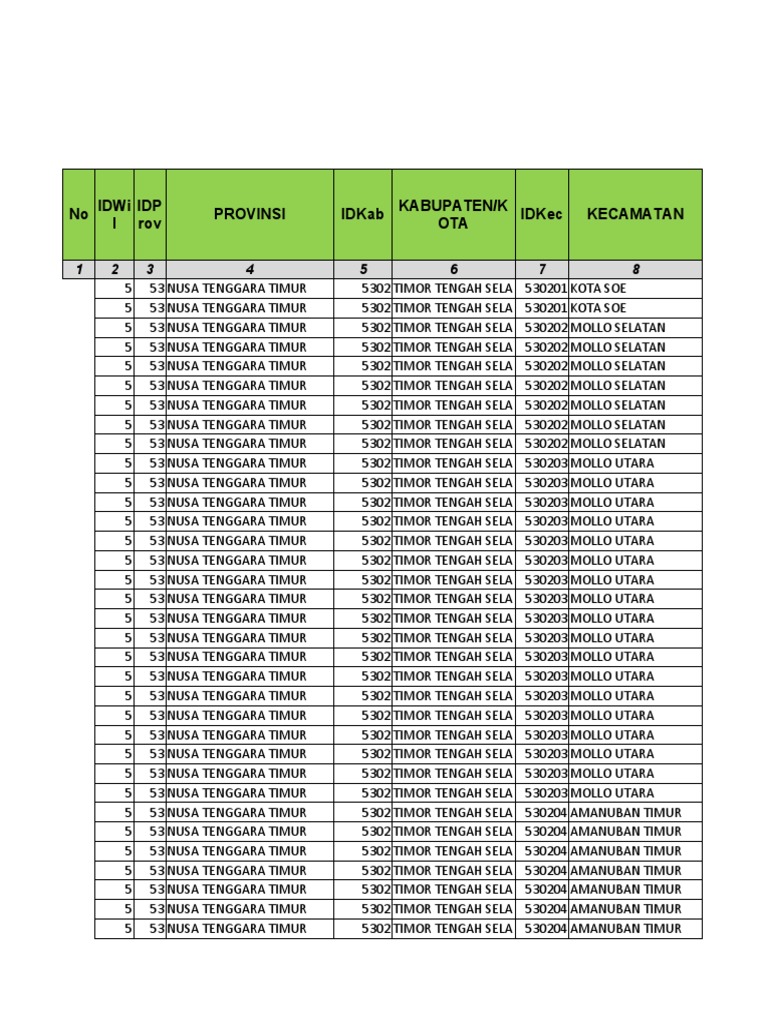Format Pemantauan Pendataan SDG's Desa 2021-NTT | PDF