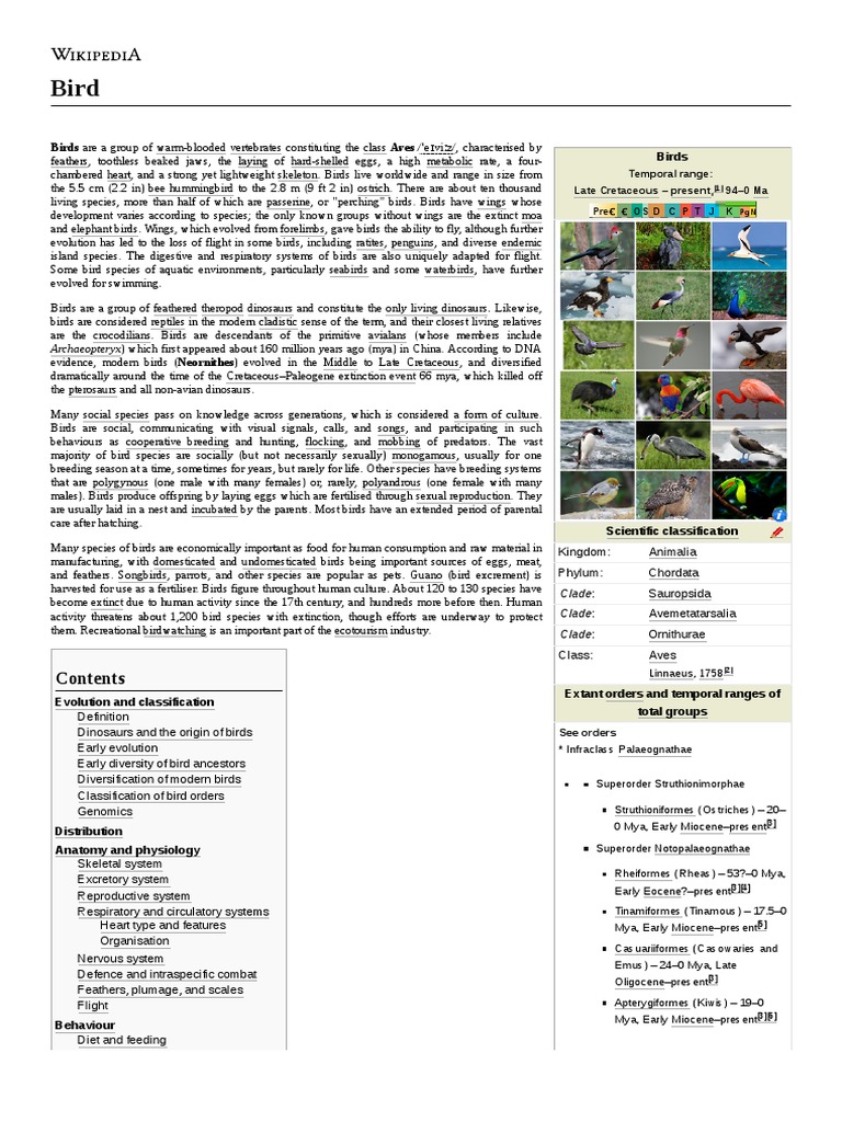 Birds Birds Are A Group of Warm-Blooded Vertebrates Constituting The ...