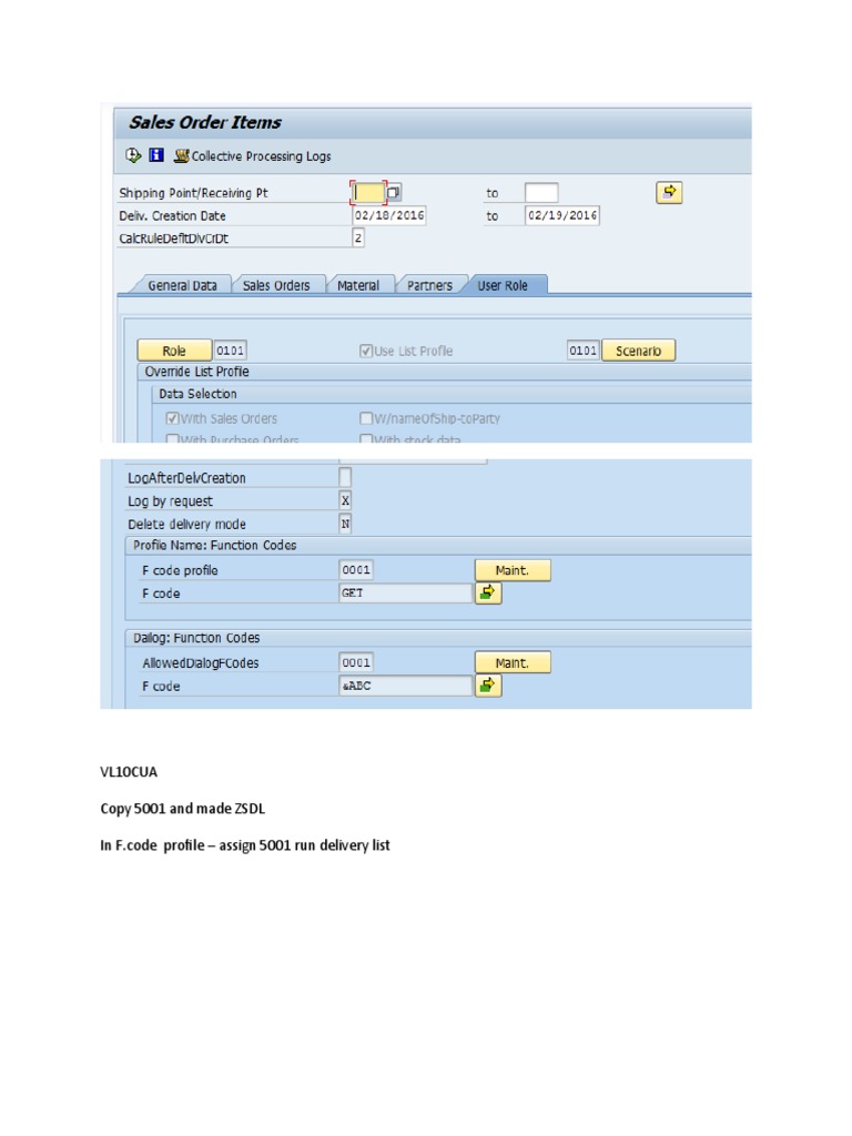 Vl10Cua Copy 5001 and Made ZSDL in F.code Profile - Assign 5001 Run ...
