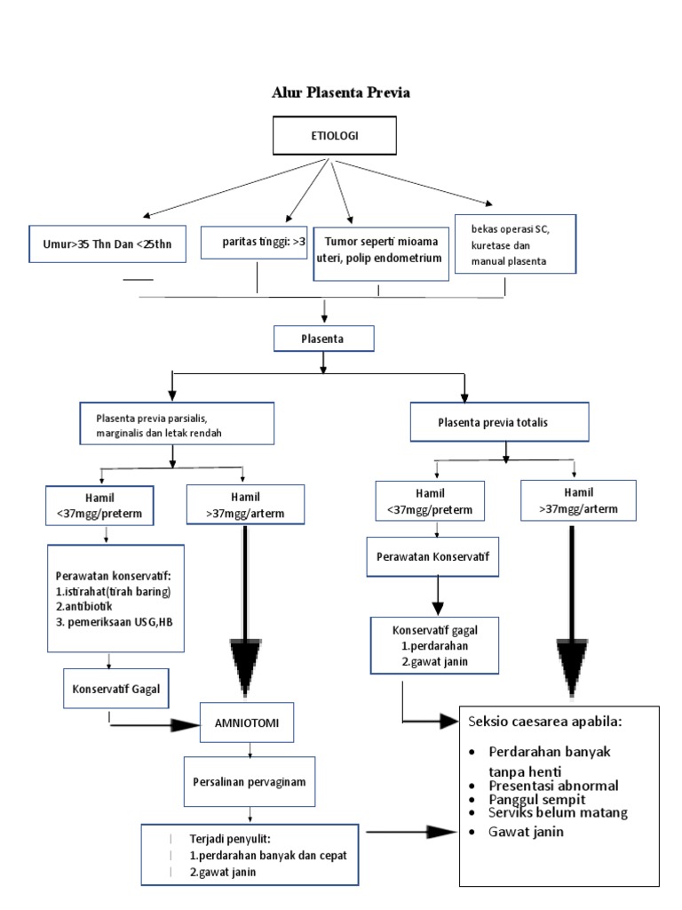 Alur Plasenta Previa | PDF