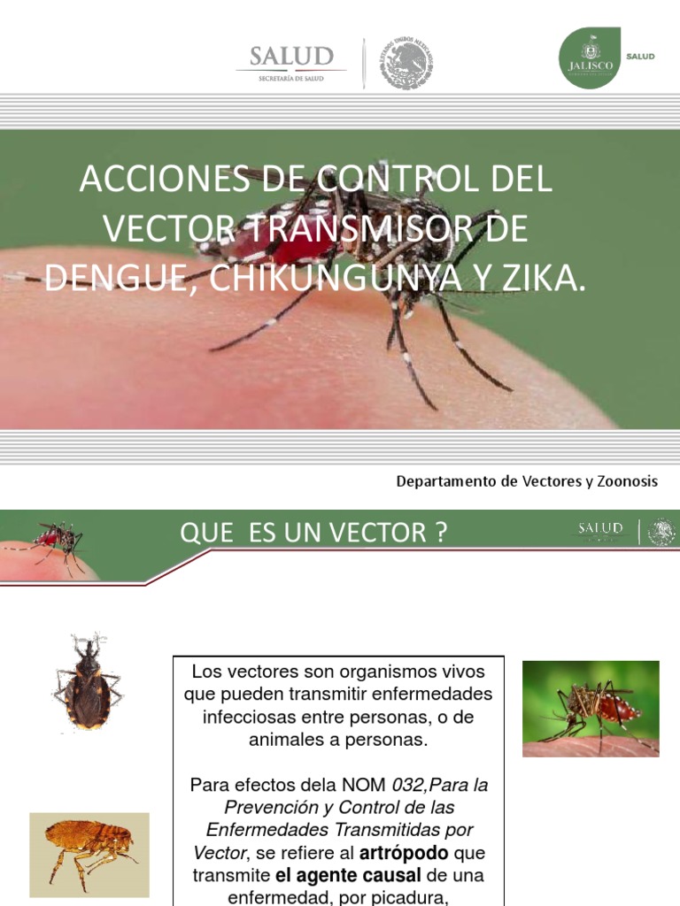 Presentacion Dengue | PDF | Fiebre del zika | Aedes aegypti