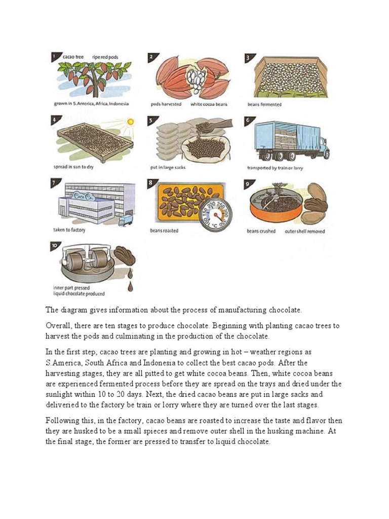 Chocolate Making Process | PDF