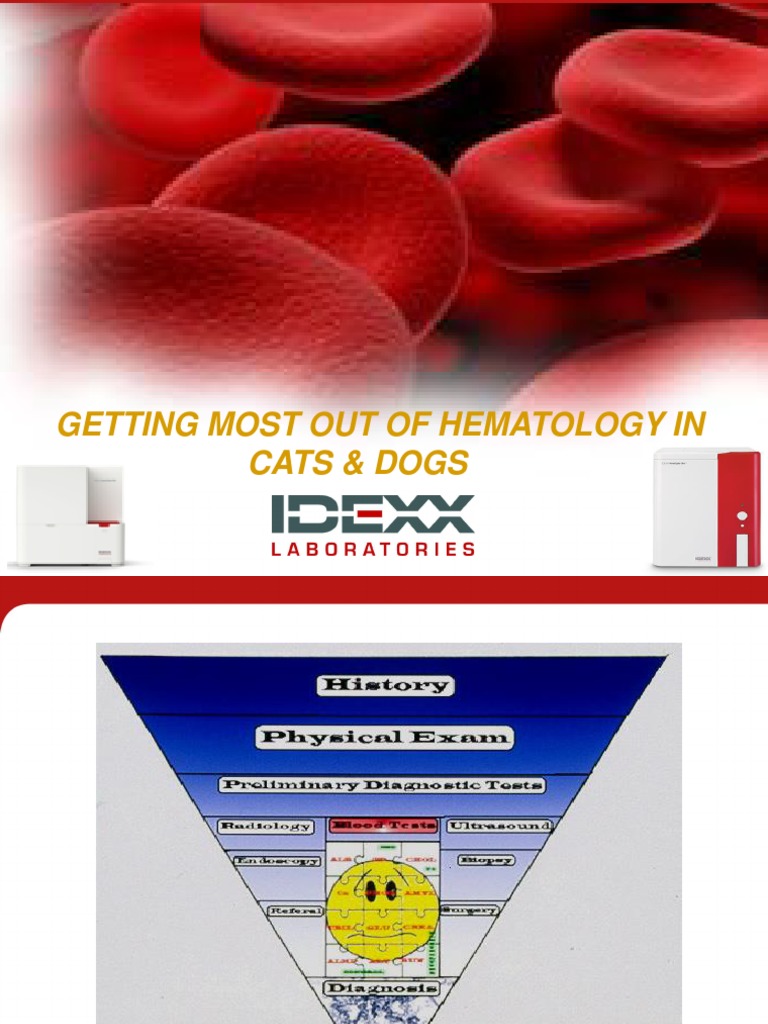 Getting the Most Out of Hematology: A Guide to Interpreting Complete ...