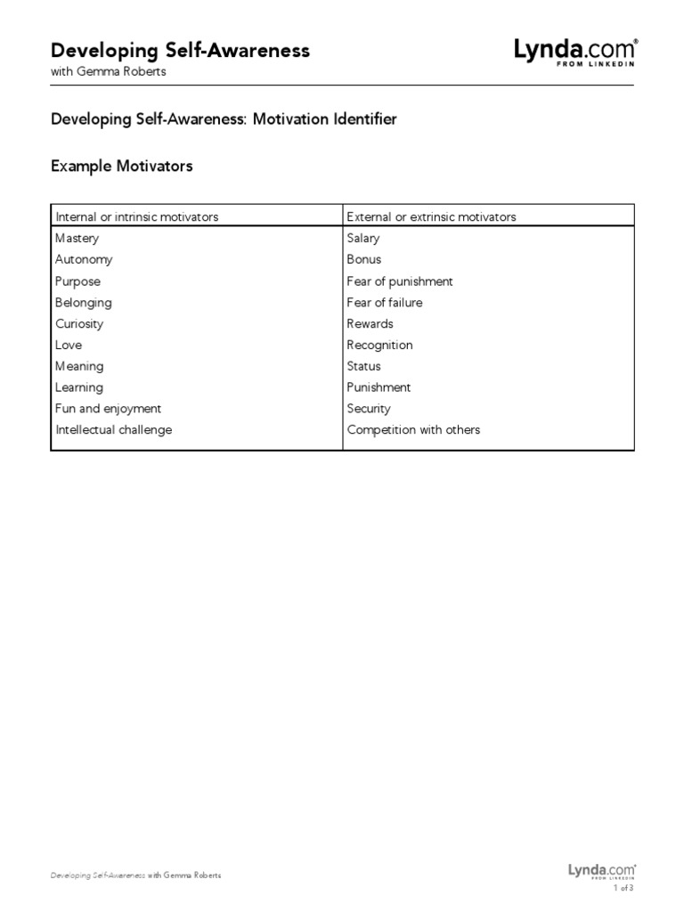 Developing Self-Awareness: Motivation Identifier Example Motivators | PDF
