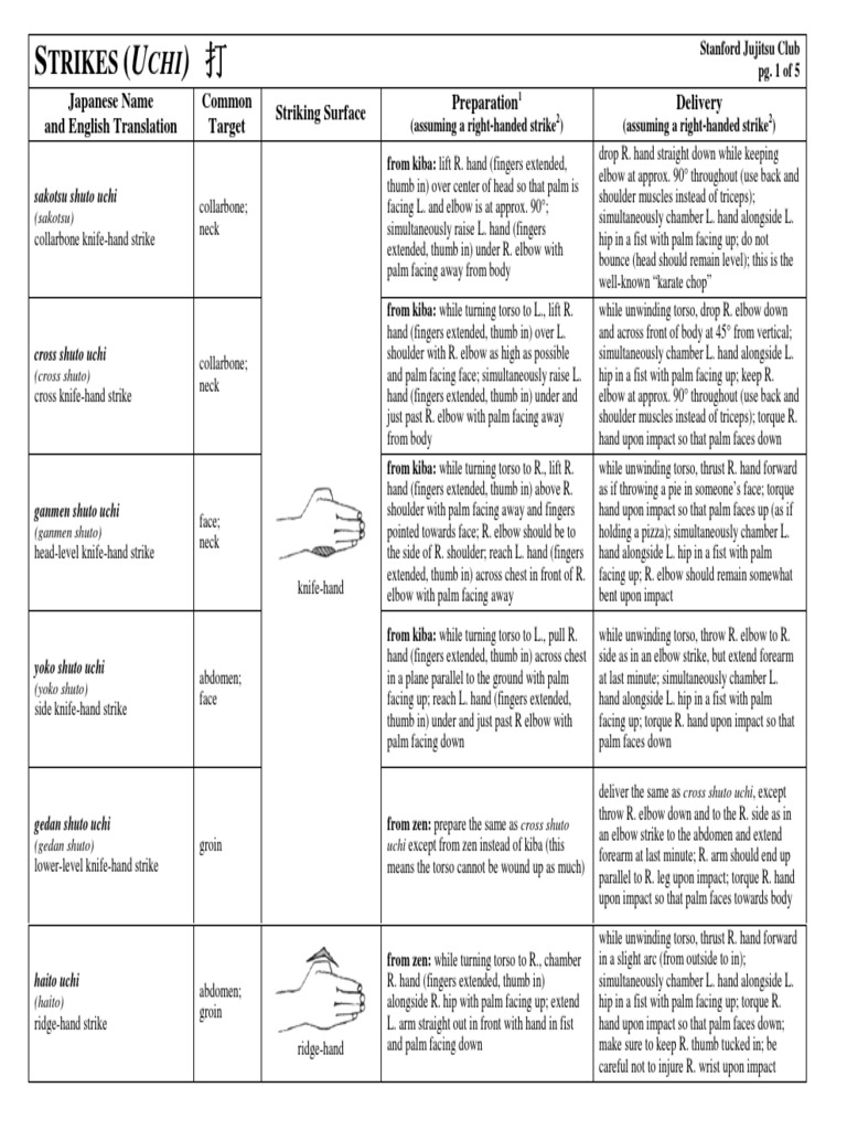 Striking Techniques of Jujitsu: Preparations and Deliveries of Common ...