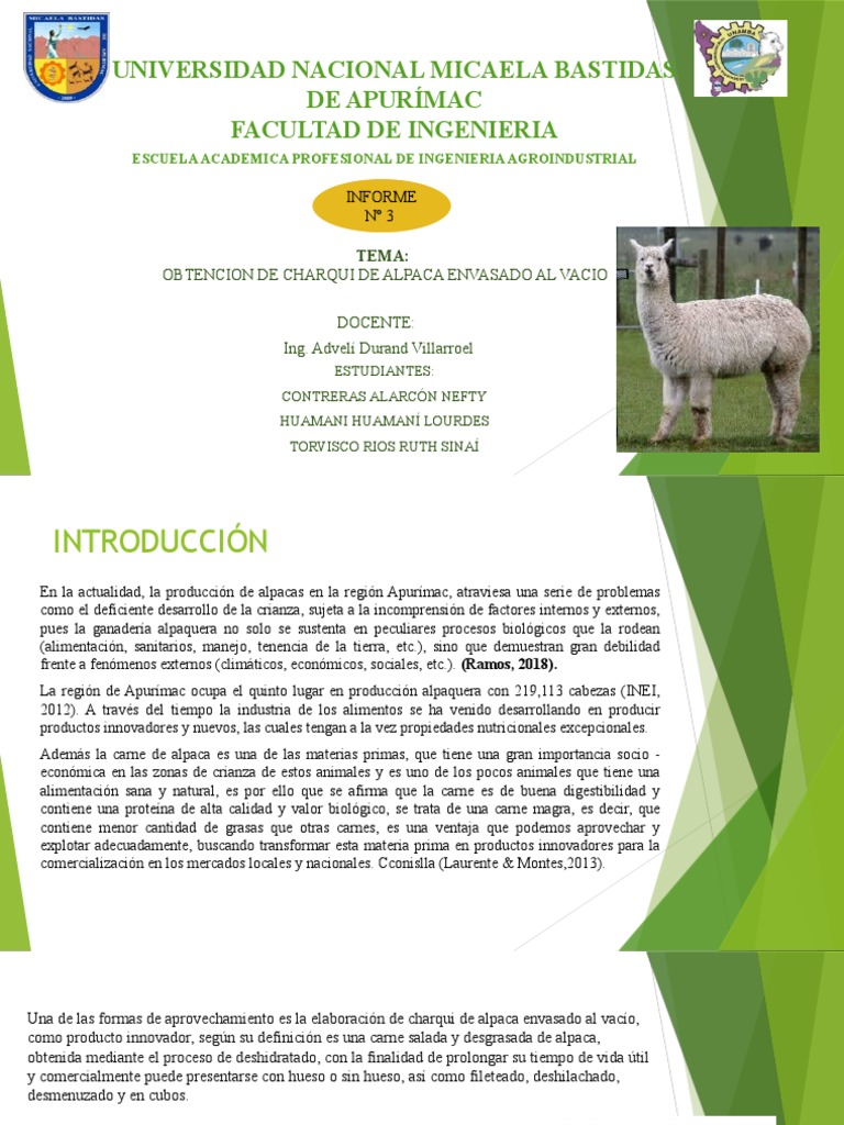 Charqui Te Alpaca | PDF | Carne | sal