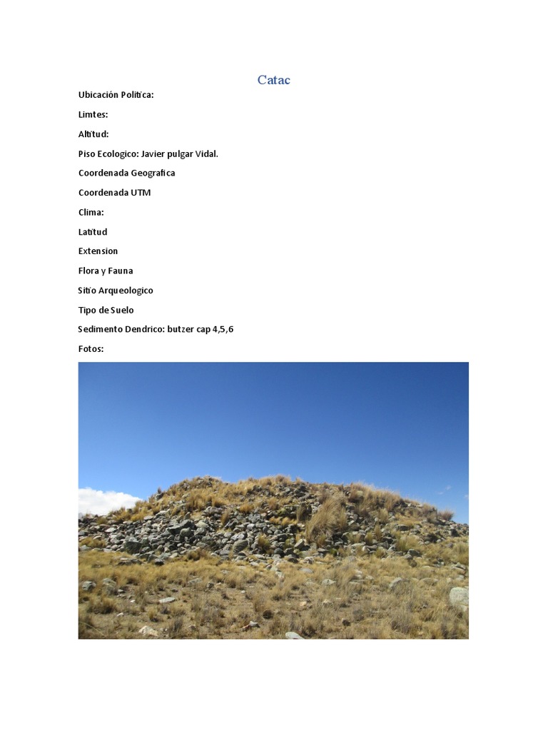 Catac | PDF | Tecnología