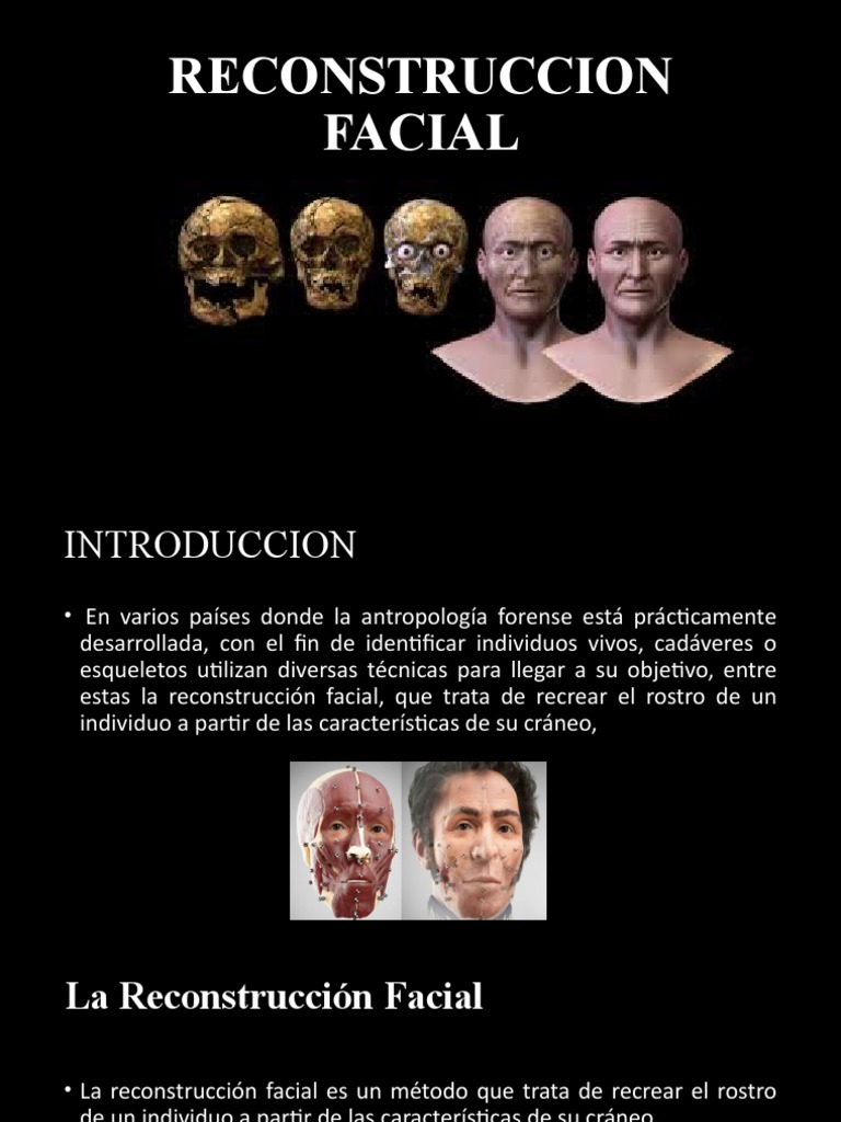 Reconstrucción Facial Forense: Técnicas y Usos | PDF | Cráneo | Naturaleza