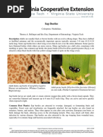 Bugs and More Bugs: An Excerpt From The Holistic Orchard | PDF | Beetle ...