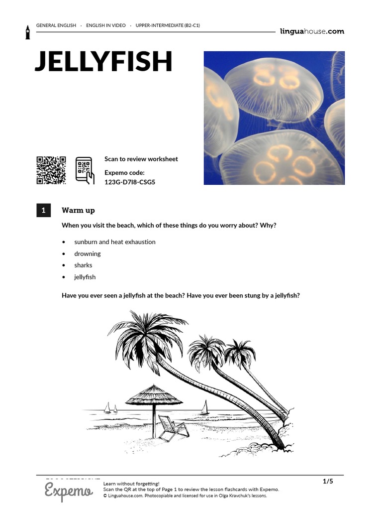 Jellyfish British English Teacher Ver2 BW | PDF | Nature
