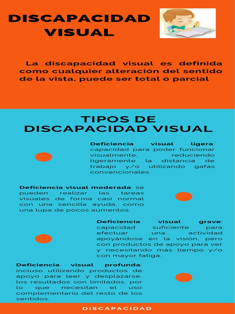 Discapacidad Visual | PDF