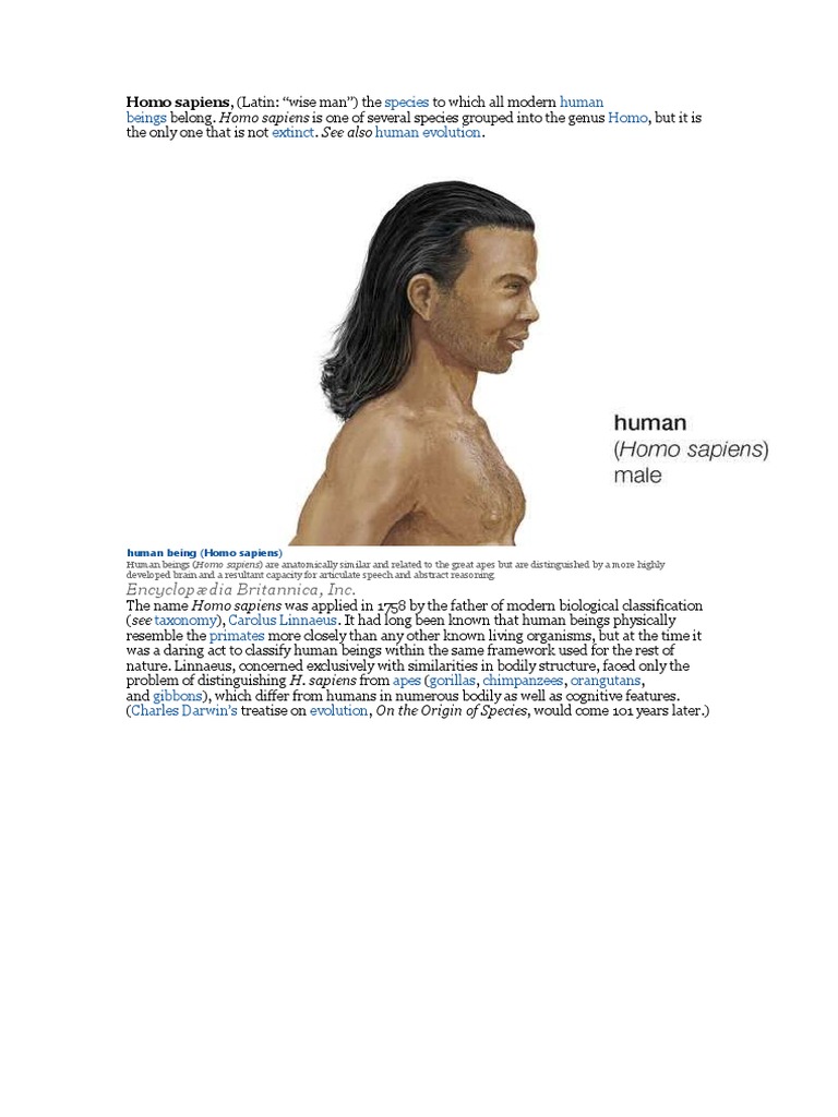 Homo Sapiens, (Latin: "Wise Man") The: Species Human Beings Homo ...