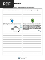 Amoeba Sisters: Video Recap Enzymes | PDF | Catalase | Enzyme