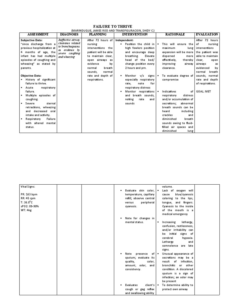 Ineffective Airway Clearance-NCP | PDF | Respiratory Tract | Hypoxia (Medical)