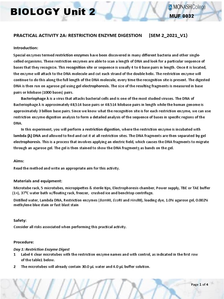 Analysis of Restriction Enzyme Digestion of Lambda DNA | PDF | Gel ...