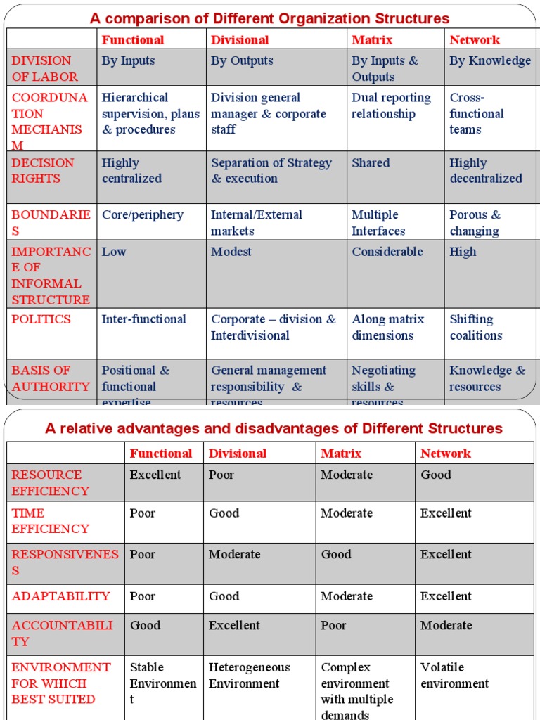 Functional Divisional Matrix Network | PDF | Outsourcing | Business Process