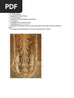 Peta Dermatome dan Inervasi Kulit | PDF