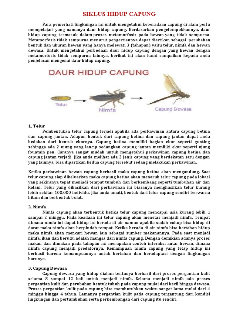 Siklus Hidup Capung | PDF