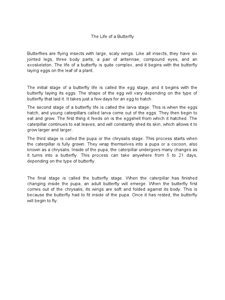 Butterfly Life Cycle Explained | PDF