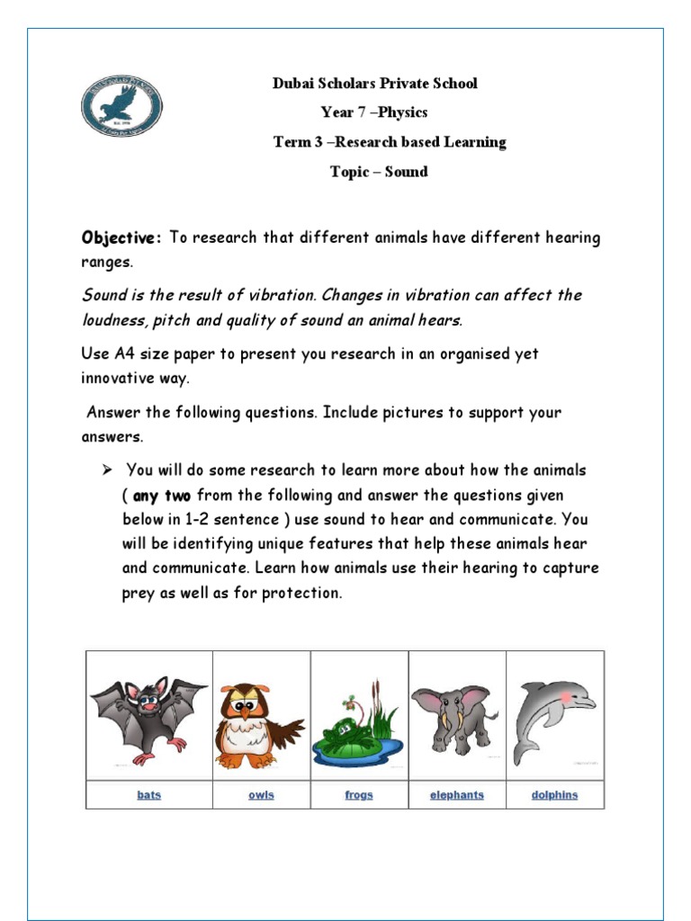 Year 7 - Physics Project-Term 3 | PDF