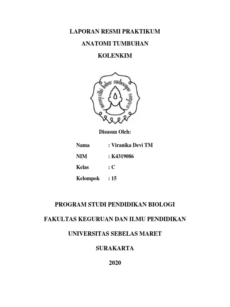 Anatomi Kolenkim pada Tumbuhan | PDF | Sains & Matematika