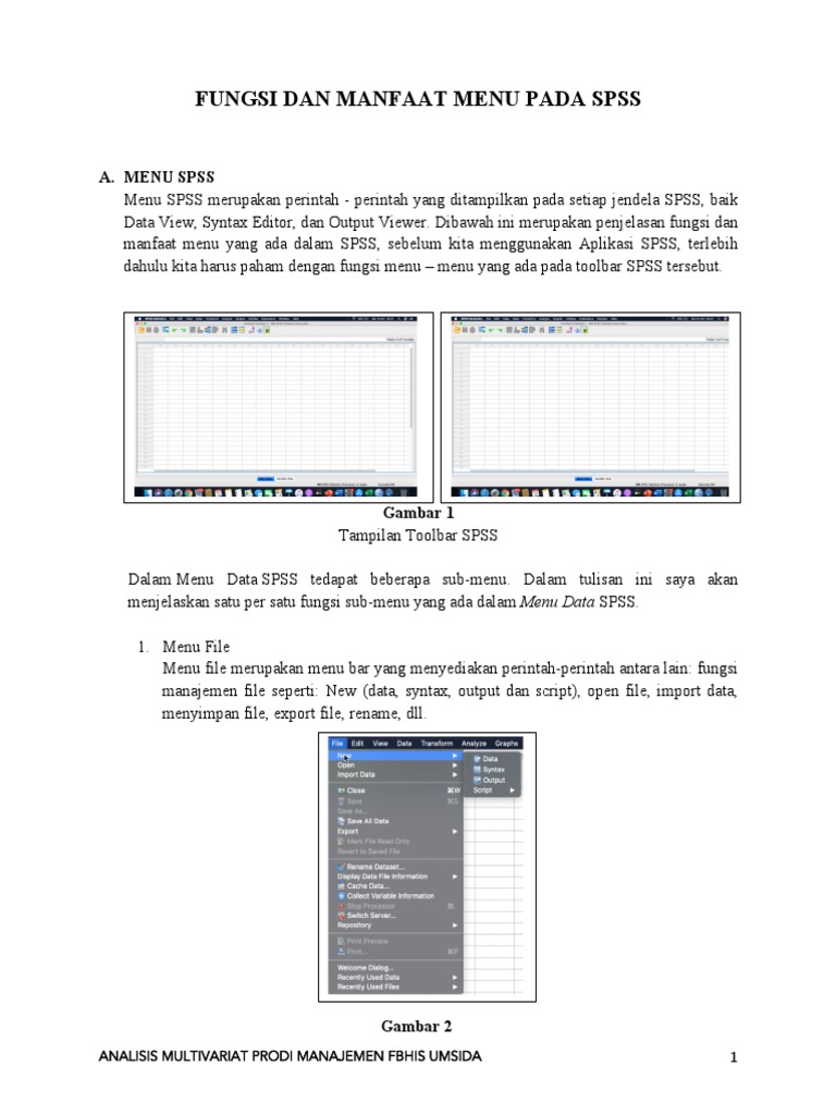 Fungsi Menu SPSS untuk Analisis Data | PDF