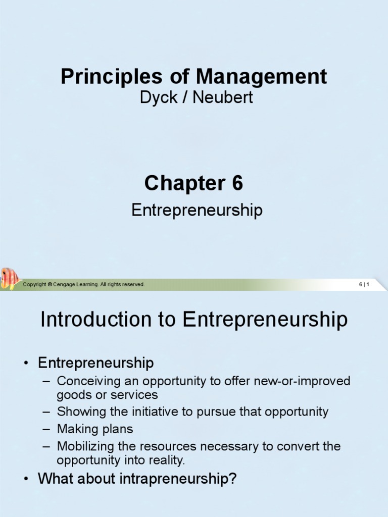 Chapter 6 - Entrepreneurship | PDF | Entrepreneurship | Business