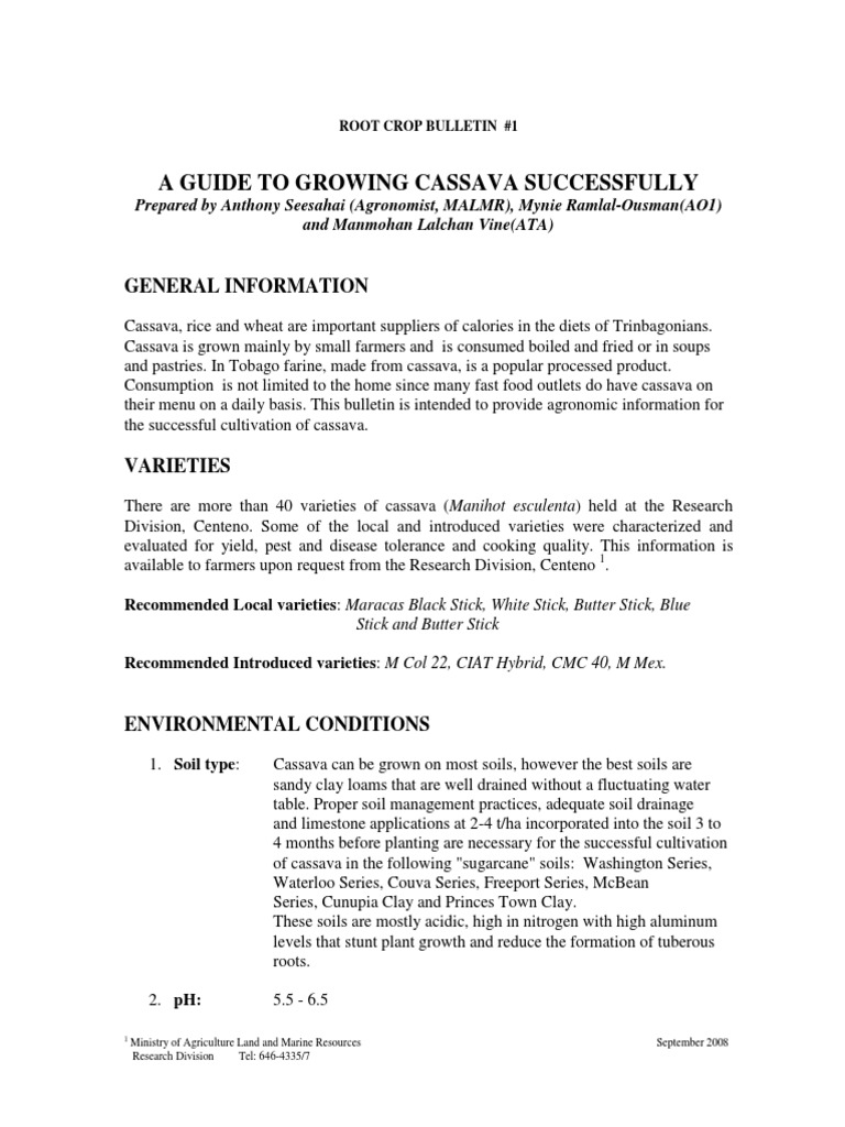 A Guide To Growing Cassava Successfully: General Information | PDF ...