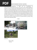 Accomplishment Report in Tree Planting | PDF