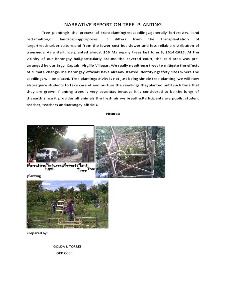 Narrative Report On Tree Planting | PDF | Home & Garden | Technology ...
