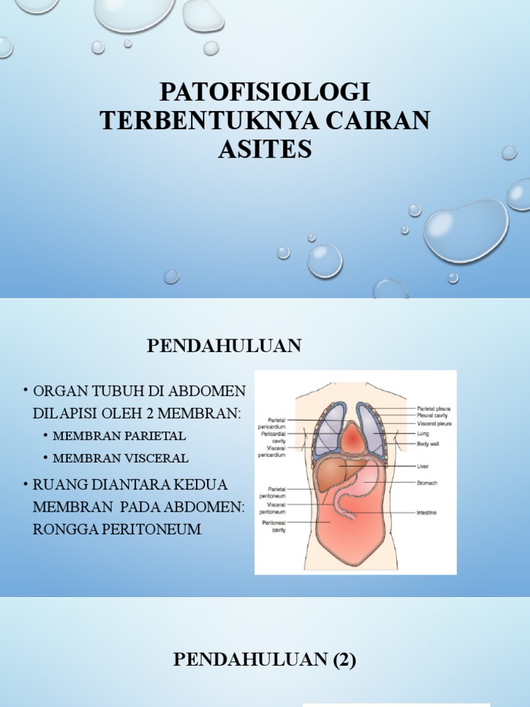 Upl Patofisiologi C Asites | PDF