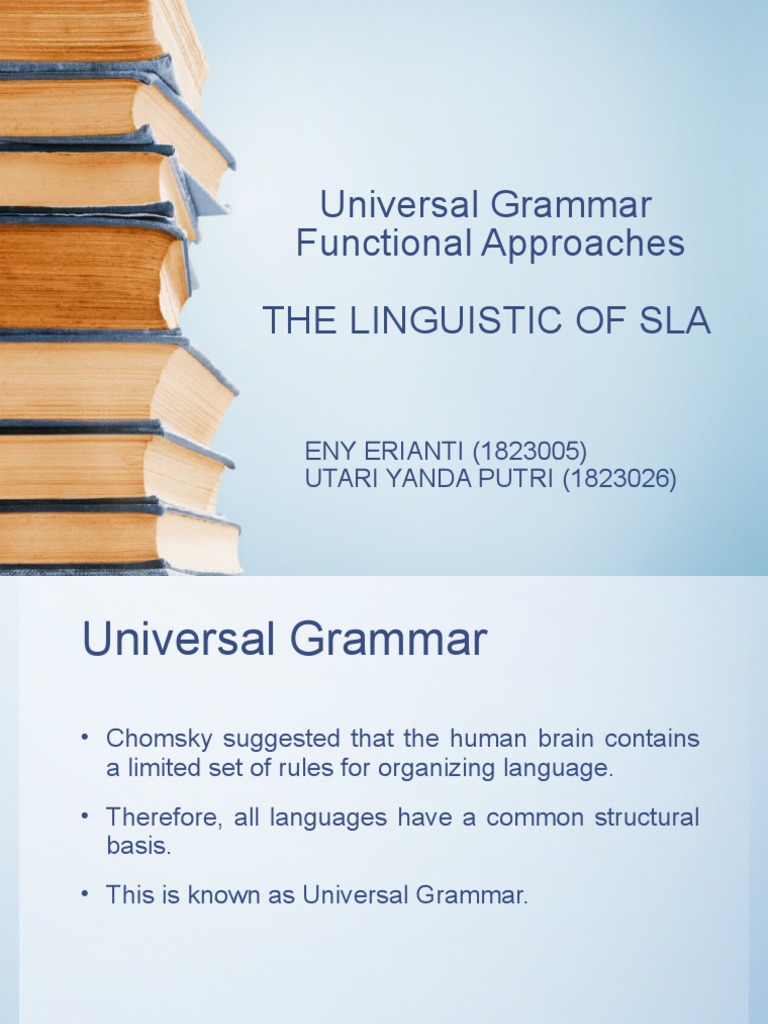 Universal Grammar and FUNCTIONAL APPROACHES | PDF | Second Language ...