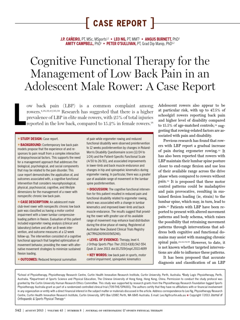 Cognitive Functional Therapy For The | PDF | Pelvis | Pain