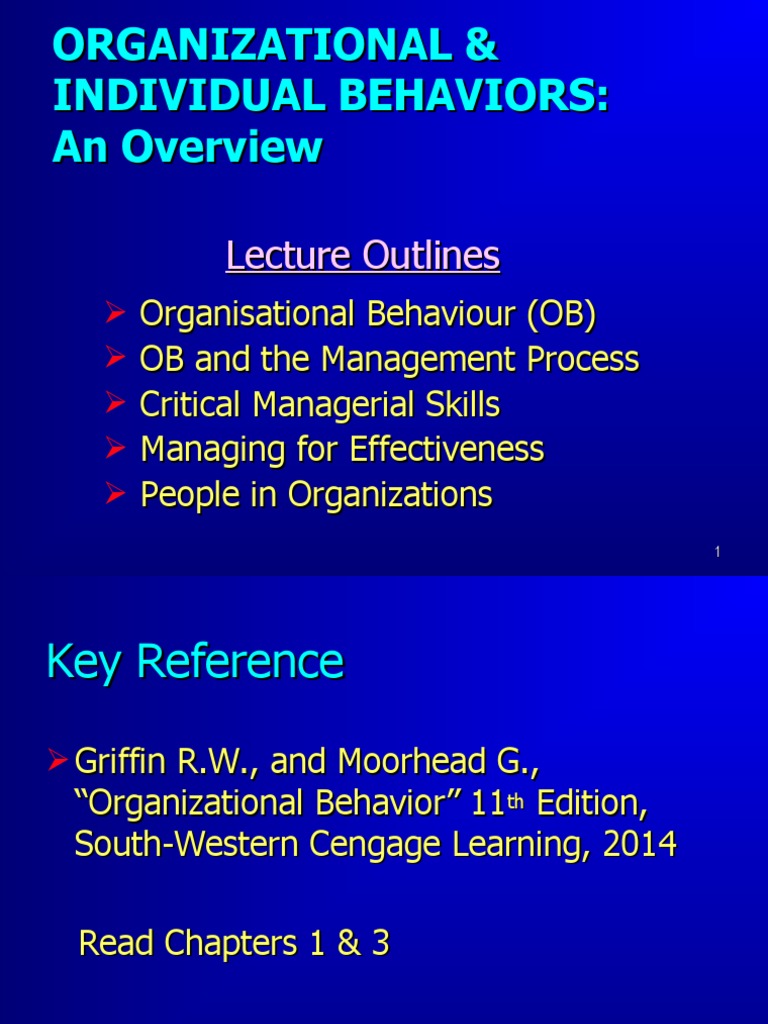 Organizational & Individual Behaviors: An Overview: Lecture Outlines ...