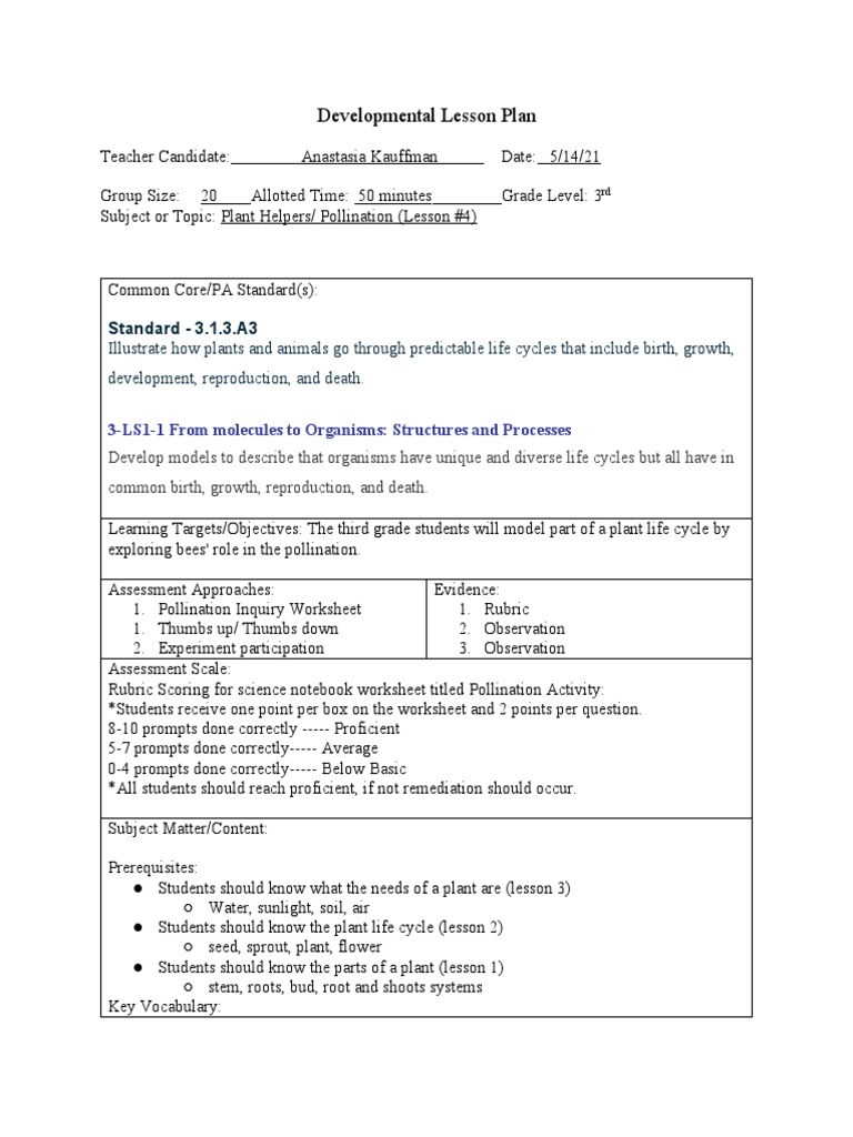 Cheeto Pollination Activity Lesson Plan | PDF | Flowers | Pollination
