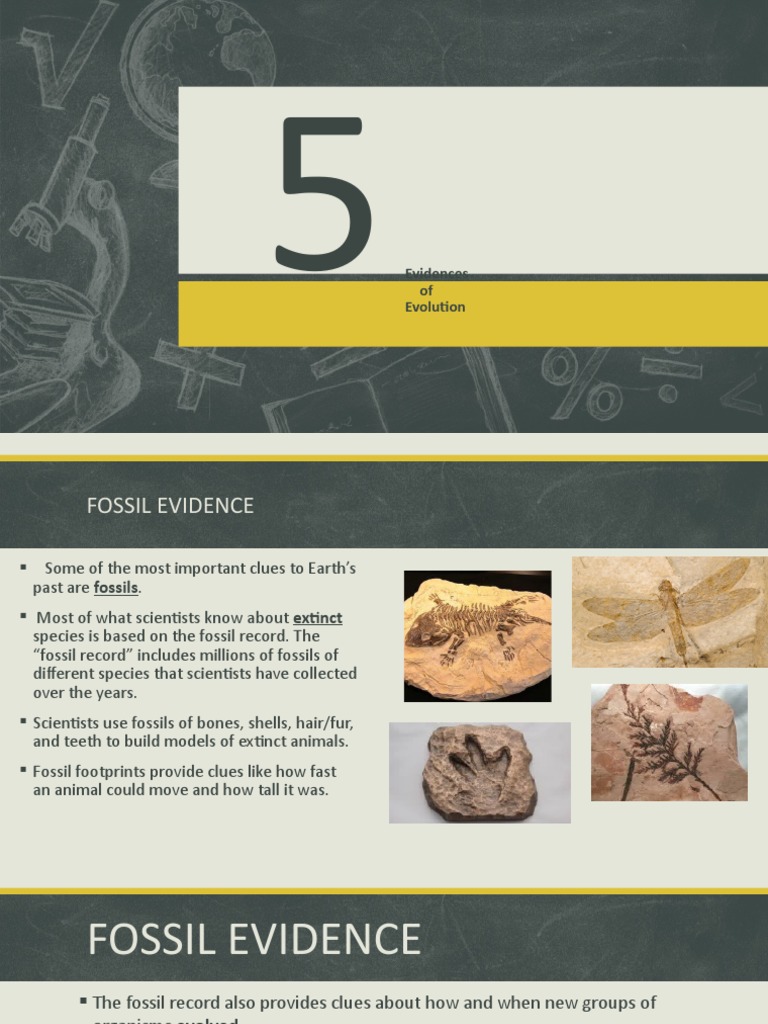 Evidences of Evolution | PDF | Homology (Biology) | Fossil