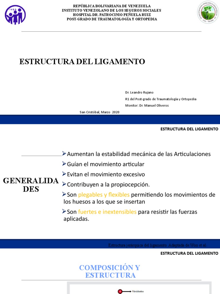 Estructura y Composición de Ligamentos | PDF | Tendón | Sistema esquelético