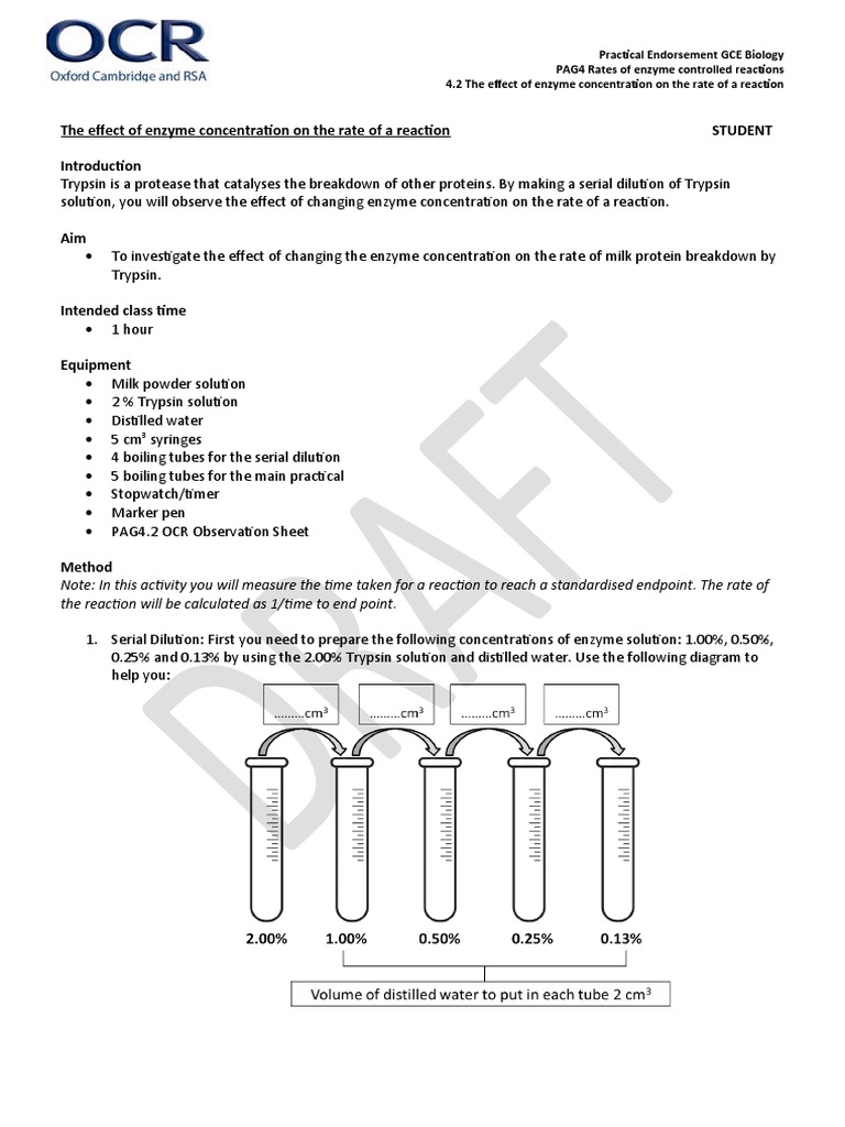 Effect of Trypsin Concentration on Reaction Rate | PDF | Trypsin | Enzyme