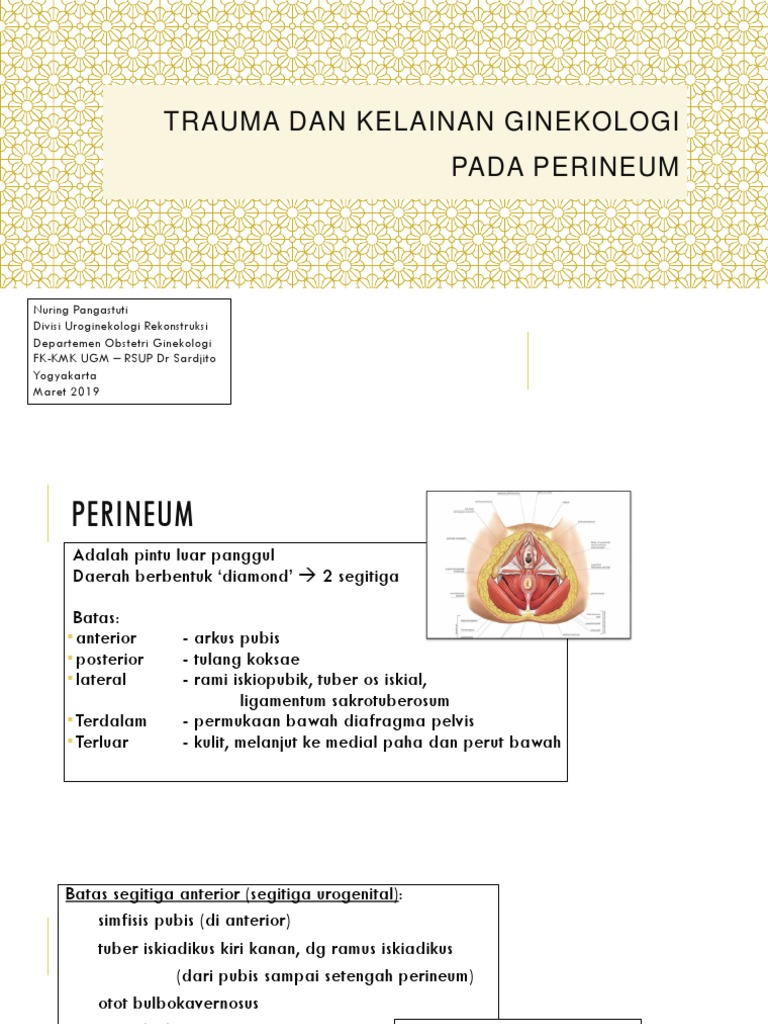 Presentasi Trauma Dan Kelainan Ginekologi Pada Perineum | PDF