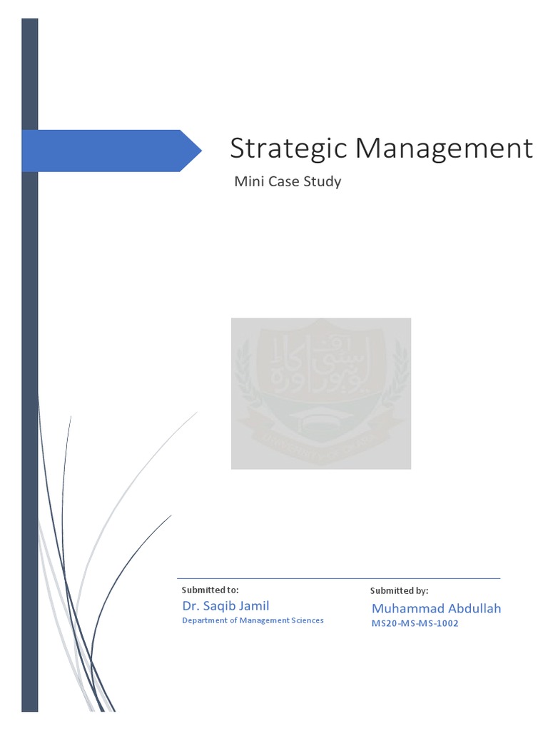 Strategic Management: Mini Case Study | PDF | Competitive Advantage | Taxes