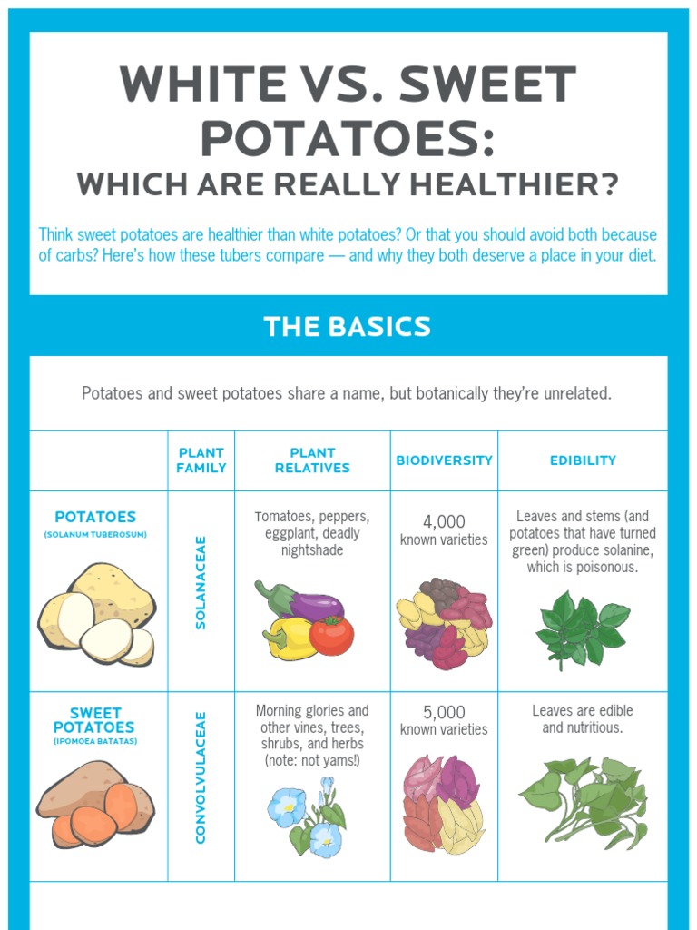 Sweet Potatoes Vs Potatoes Infographic Printer | PDF | Dietary Fiber ...