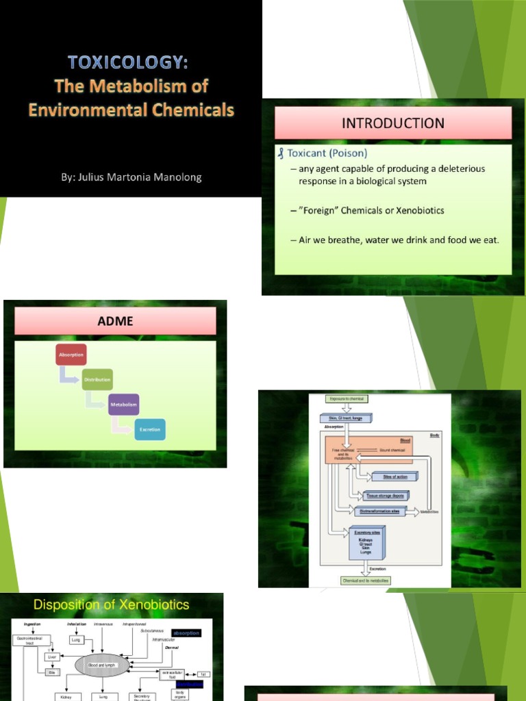 Mechanism of Toxicity | PDF