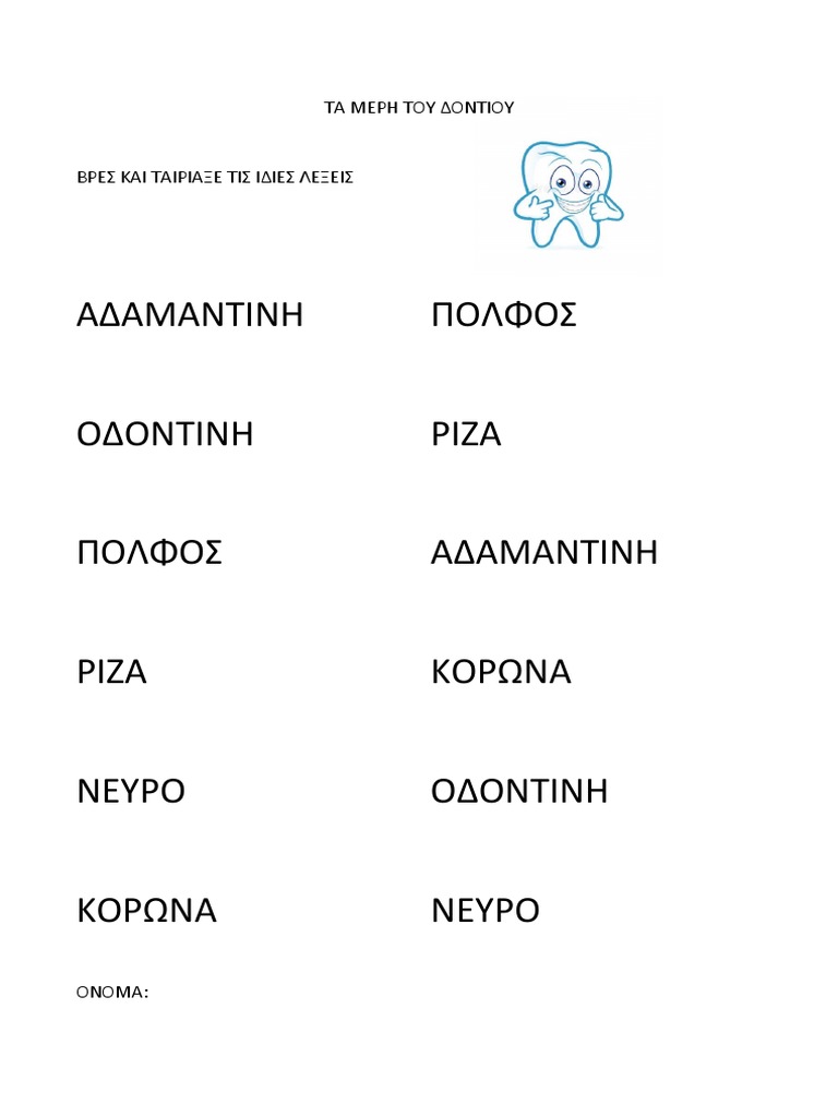 ΤΑ ΜΕΡΗ ΤΟΥ ΔΟΝΤΙΟΥ-ΑΣΚΗΣΗ | PDF
