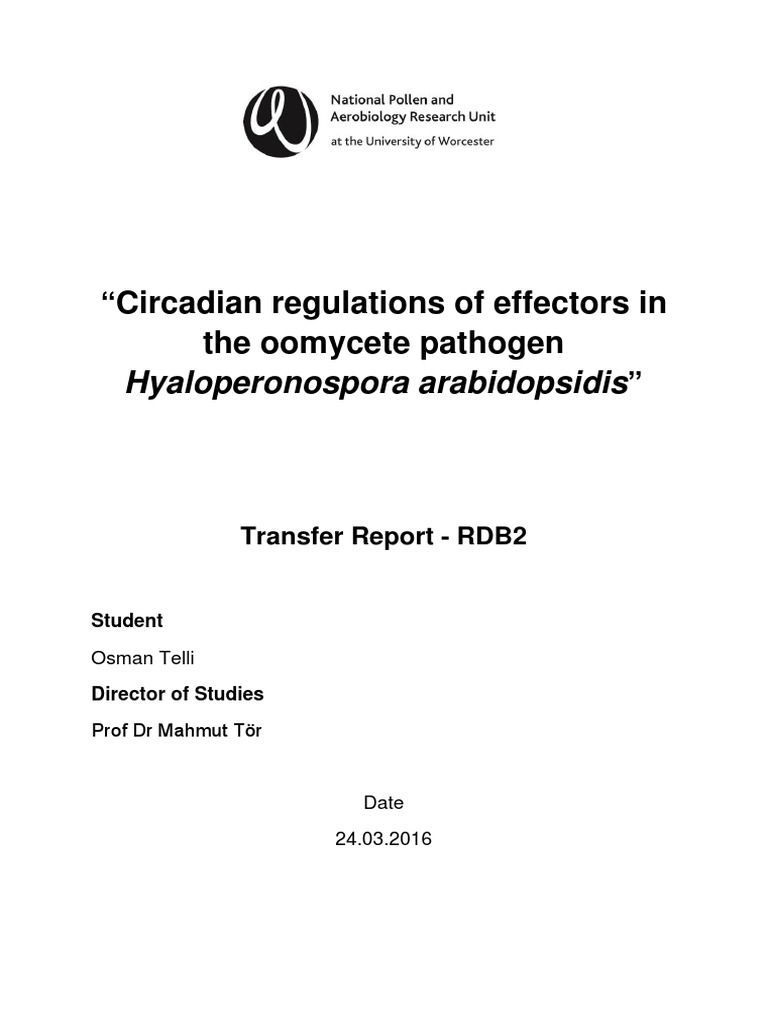 Transfer Report-Osman Telli | PDF | Circadian Rhythm | Clock